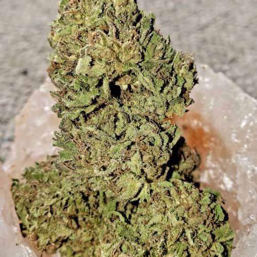 Buy Blue Chem Balanced Hybrid - Marijuana Nirvana Dispensary | Dr ...