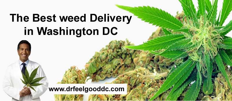 Blog - Dr.Feel Good