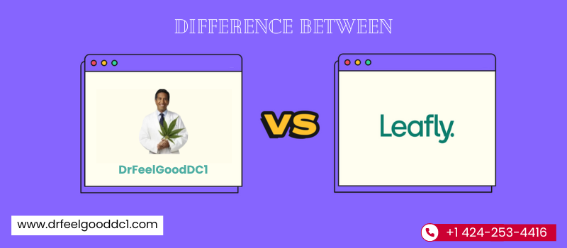 Difference Between Leafly and Dr Feel Good: A Quick Comparison - Dr ...