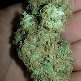 Buy Alien Kush OG Strain - 420 Dispensary Menu | Dr.FeelgoodDC1