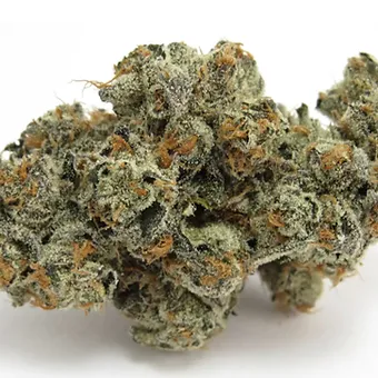 Krypto Chronic - Dr.Feel Good